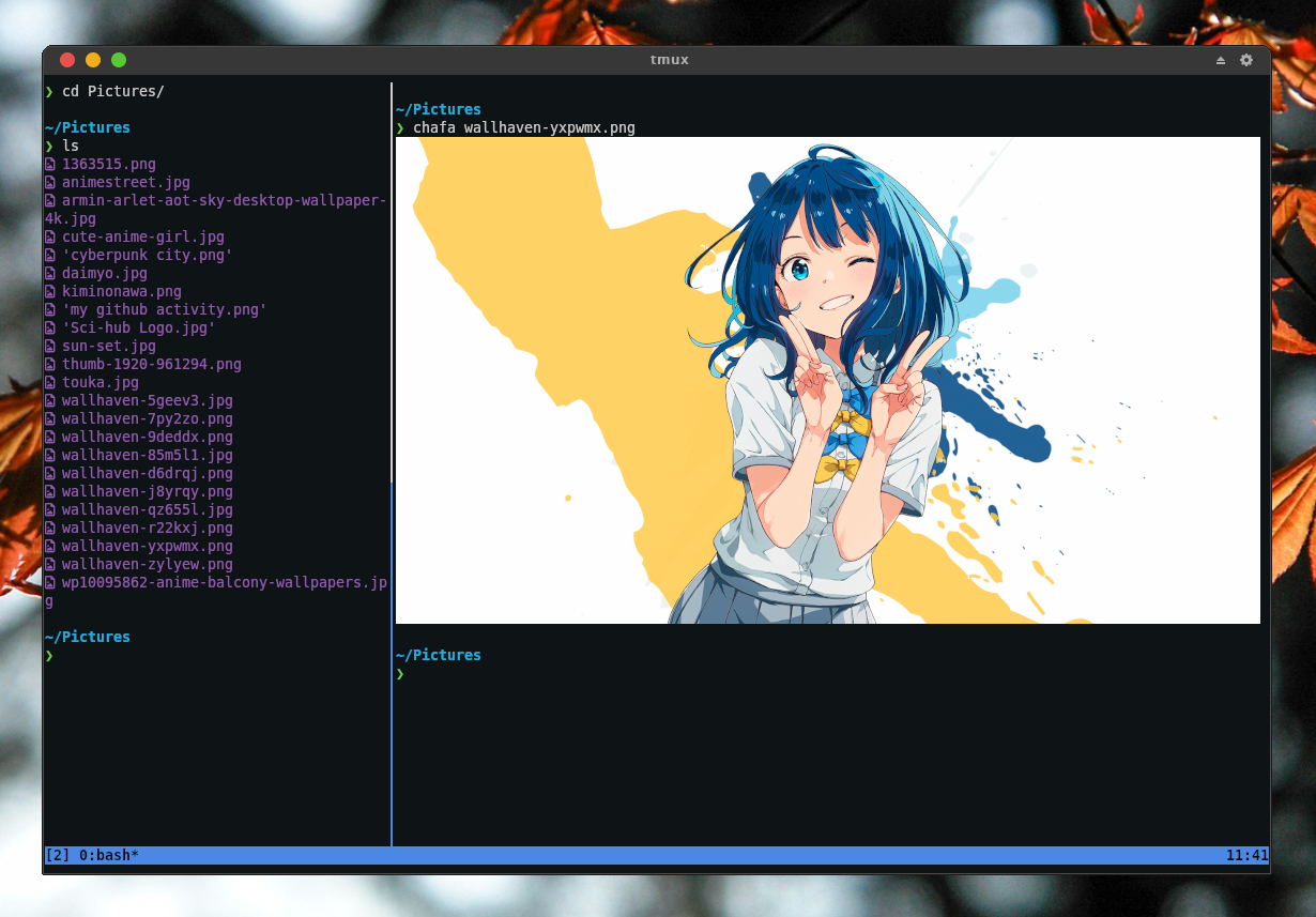 Chafa: Character Art Facsimile Generator · My Awesome Site