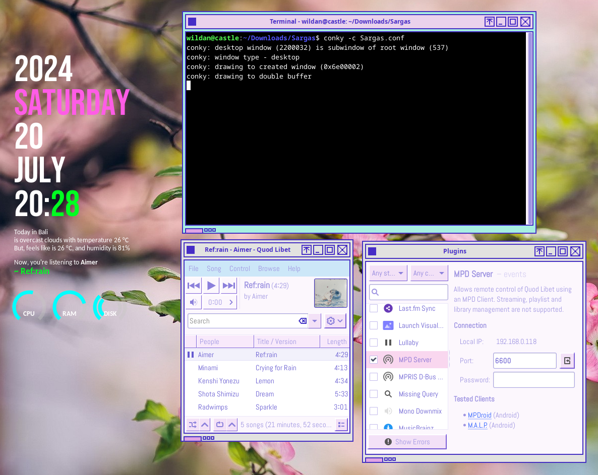 Enhancing Your Linux Desktop with Conky · My Awesome Site