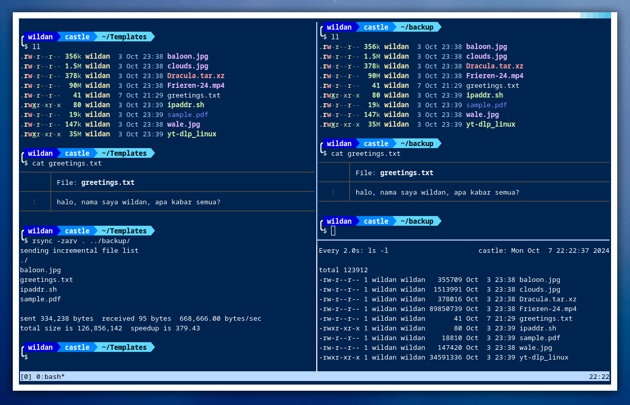 rsync: A Powerful Tool for Backing Up Data · My Awesome Site